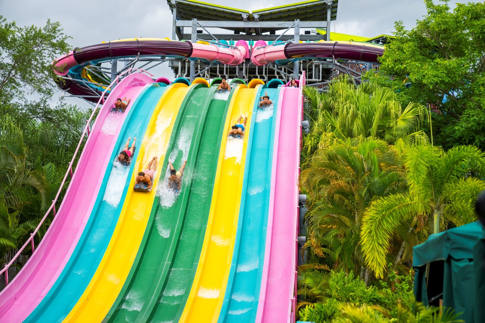 Florida Aquatica Water Park Aquatica Orlando The Waterpark Wonderland