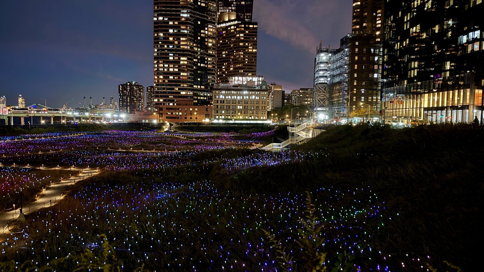 Field of Light at Freedom Plaza